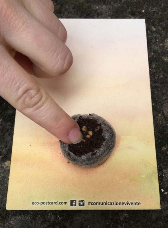 Ecocartoline Eco-Postcard: scopri come funziona il gadget ecologico!